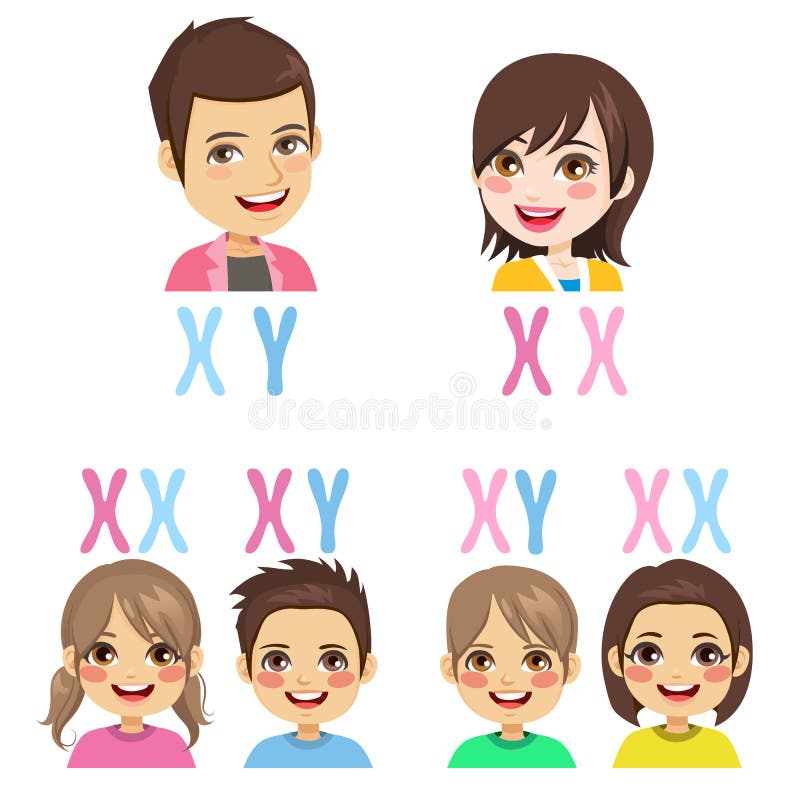 Sex Determination Stock Illustrations 131 Sex Determination Stock