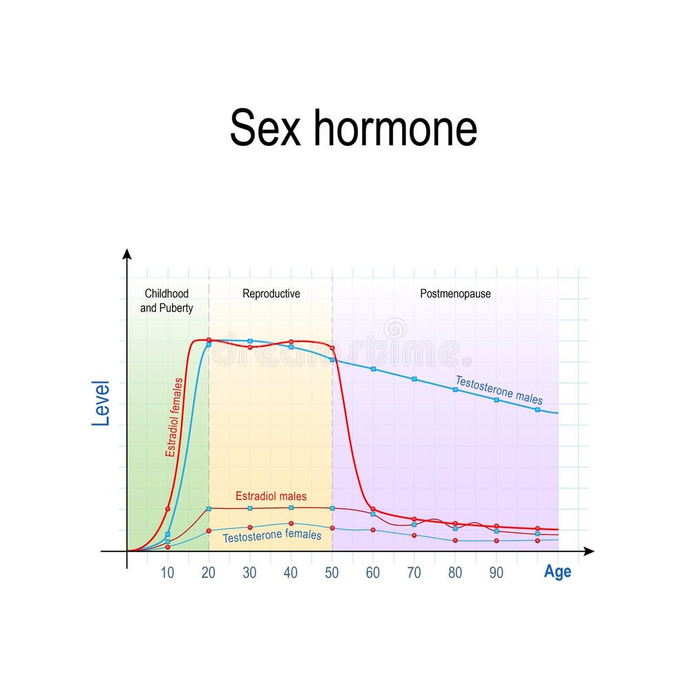 Sex Hormones Stock Illustrations 545 Sex Hormones Stock Illustrations