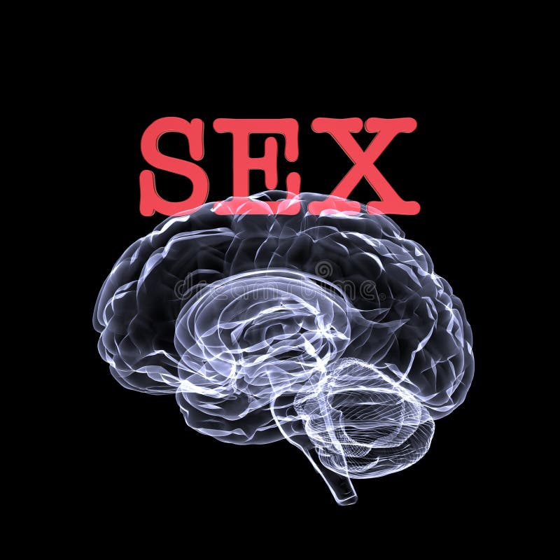 Sexo En El Cerebro Stock De Ilustración Ilustración De Radiograma