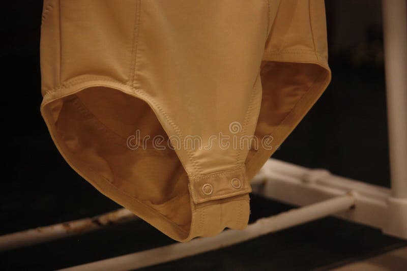 Beige bodysuit stock illustration. Illustration of brown - 229964911