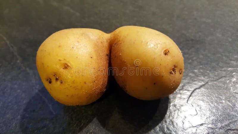 A Vegetable With Potatoes Stock Image Image Of Plant 194057971