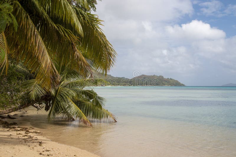 Seychelles - Anse Possession Beach Stock Image - Image of coast ...
