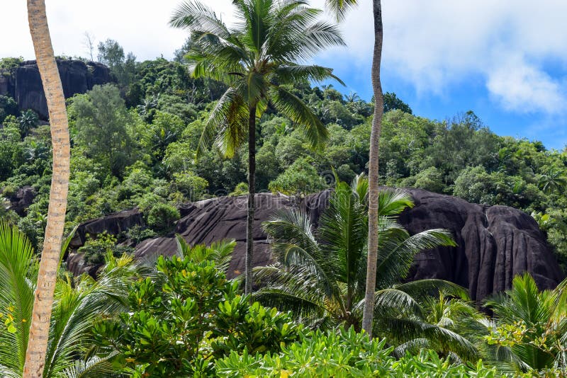 Seychelles Landscape with Black Rocks Stock Image - Image of granite ...
