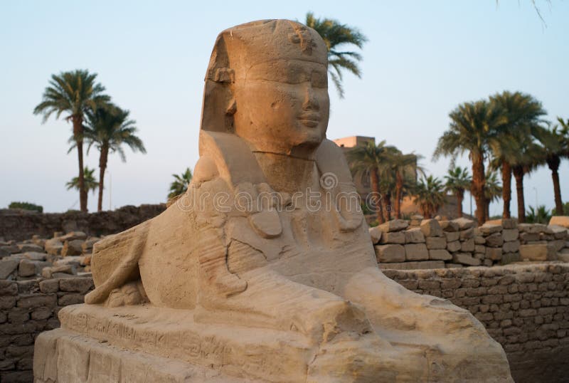 Sfinge All'entrata Del Tempio Di Luxor Immagine Stock - Immagine di ...