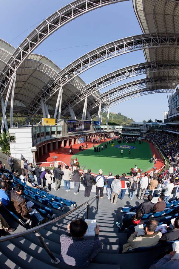 Sha Tin Racecourse, Hong Kong Editorial Stock Photo - Image of animal ...