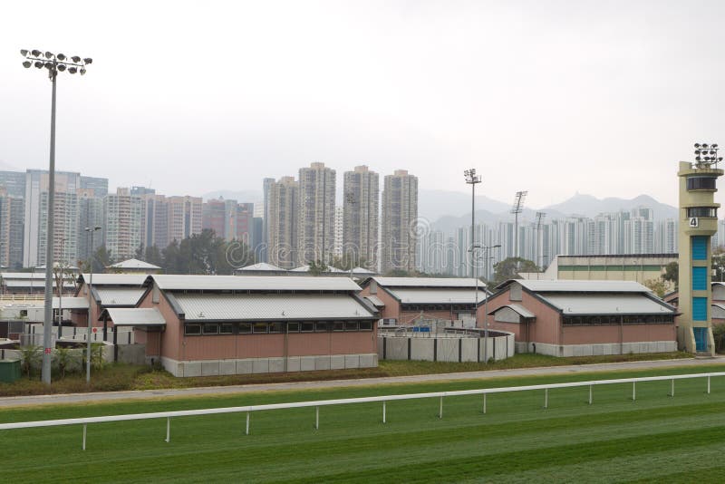 Sha Tin Racecourse, Hong Kong Editorial Photography - Image of animal ...