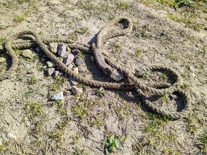 Shabby Old Rope on the Ground at Daytime. Stock Image - Image of rope ...