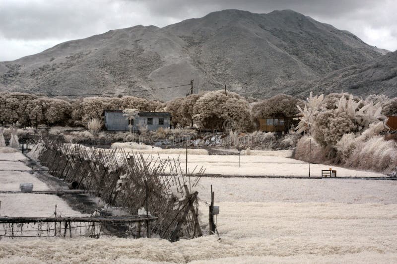 Shabby rustic house stock photo. Image of rustic, hong - 92864282