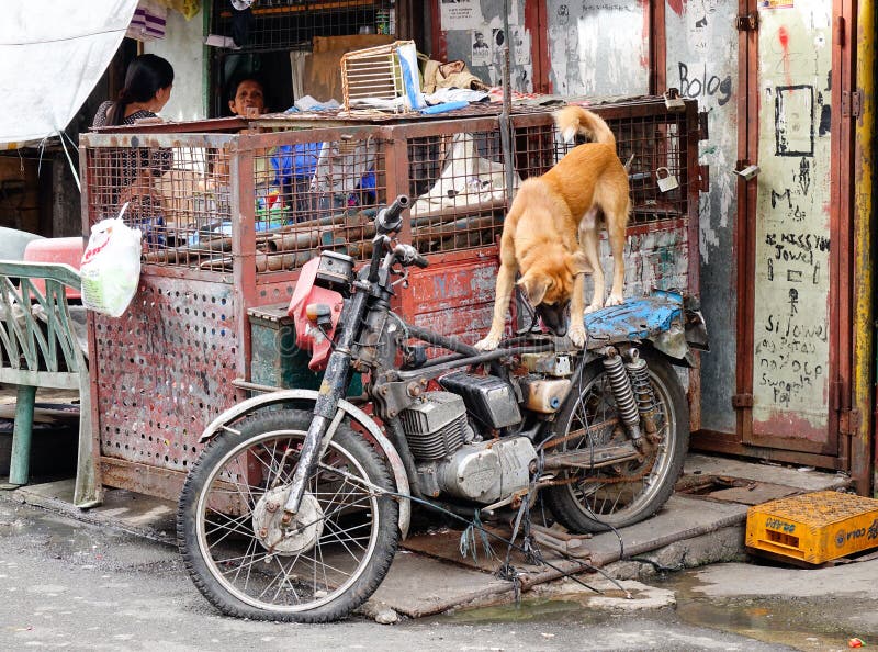 A Shack at Baclaran District in Manila, Philippines Editorial ...