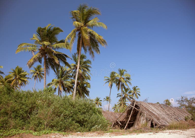 The shack on the beach stock image. Image of beautiful - 12561513