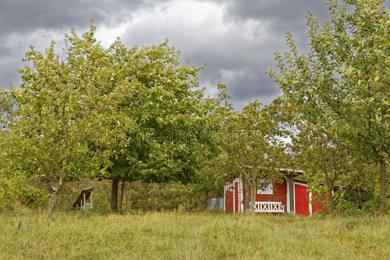 Shack in the countryside stock image. Image of shack - 78882421