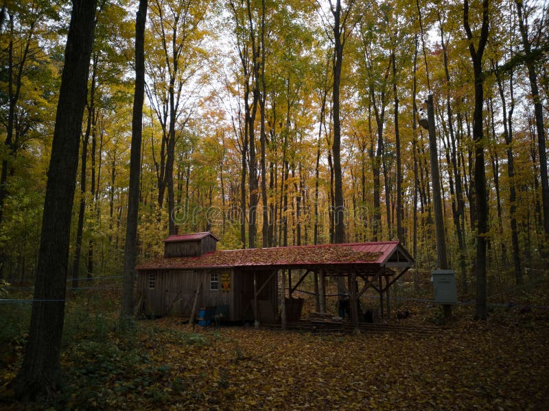 A Shack in the Middle of the Forest Stock Image - Image of orange ...