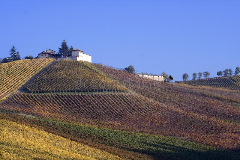 Winery stock photo. Image of champagne, country, agriculture - 2096596