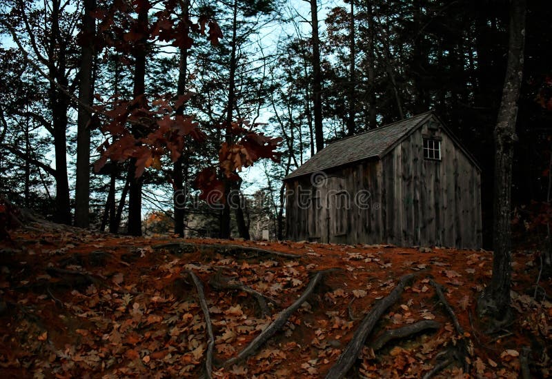 Indigocrow - Photographer profile