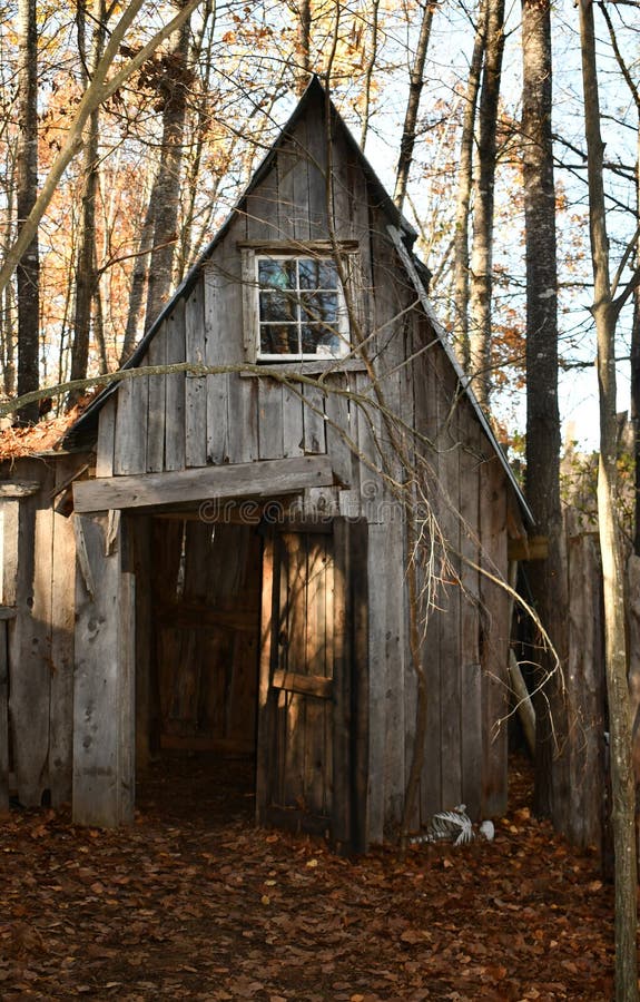 Indigocrow - Photographer profile