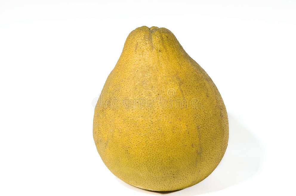 Shaddock stock photo. Image of yellow, pompelmou, grapefruit - 12176232