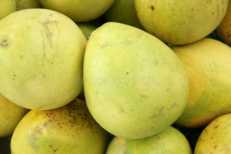 Shaddock stock photo. Image of sweet, pommelo, citrus - 20828128