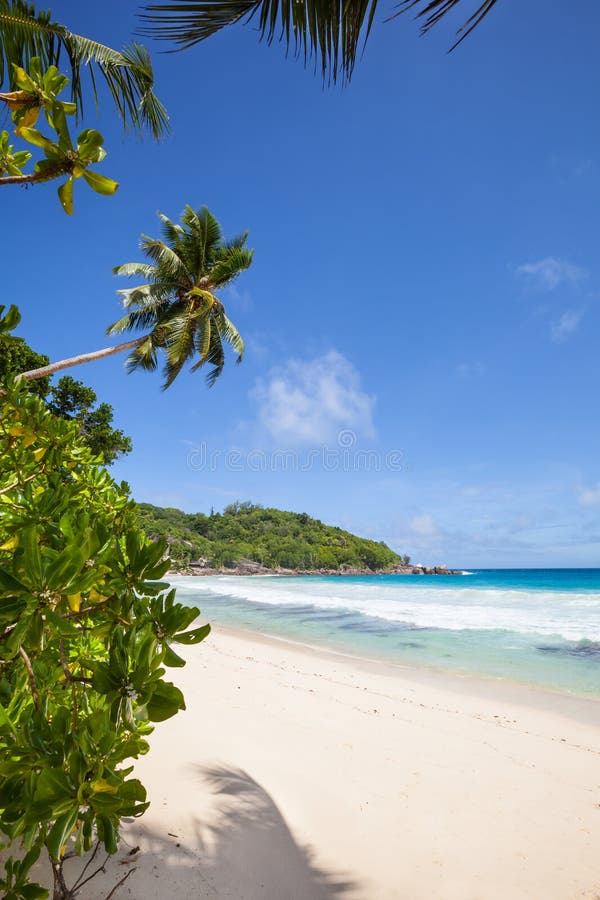 Shade at the beach stock photo. Image of idyllic, cloud - 37715292