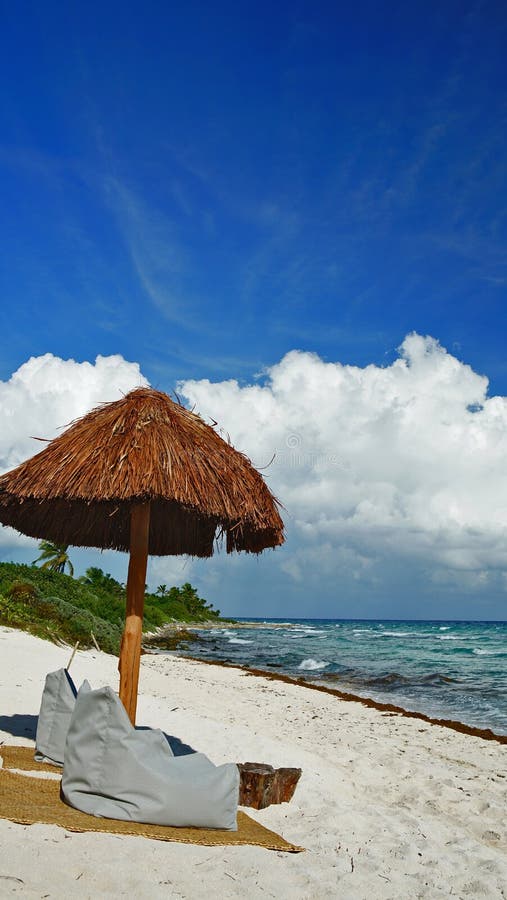 Palm Tree Hut on the Beach in Cancun Stock Photo - Image of landscape ...