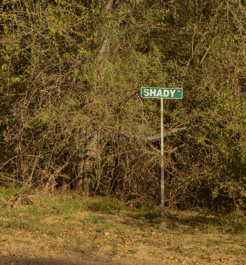 Ieasy Stock Photos - Free & Royalty-Free Stock Photos from Dreamstime