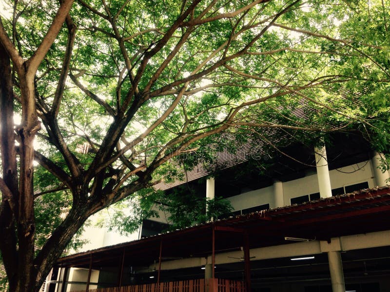 Shade stock image. Image of building, shade, provide - 96616229