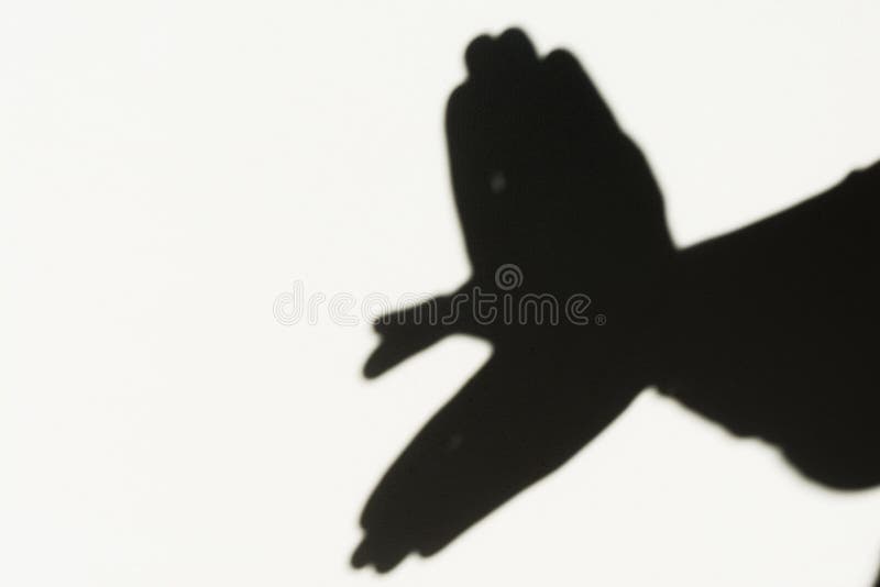 Shade from the Palms of the Hands in the Form of Birds Stock Image ...