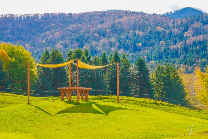 Shade and rest space stock photo. Image of leisure, nature - 311268998