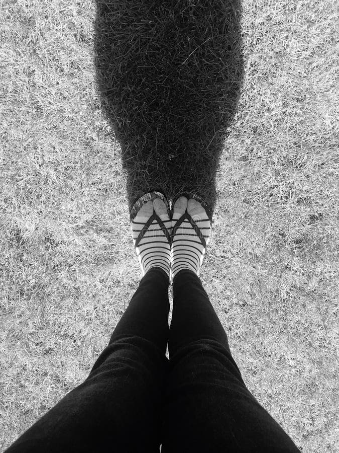 Shade and Shadow in Black and White Stock Image - Image of colour ...