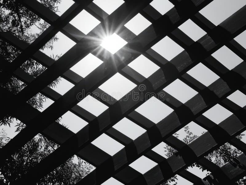 Shade and Sunlight stock photo. Image of patio, light - 358939372