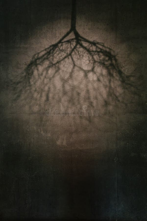 Shade stock image. Image of wall, nature, tree, shade - 45464137