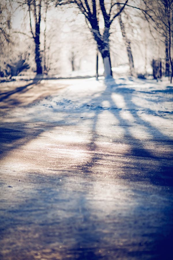 Shade from a Tree on a Sunny Winter Day. Winter Landscape Stock Photo ...