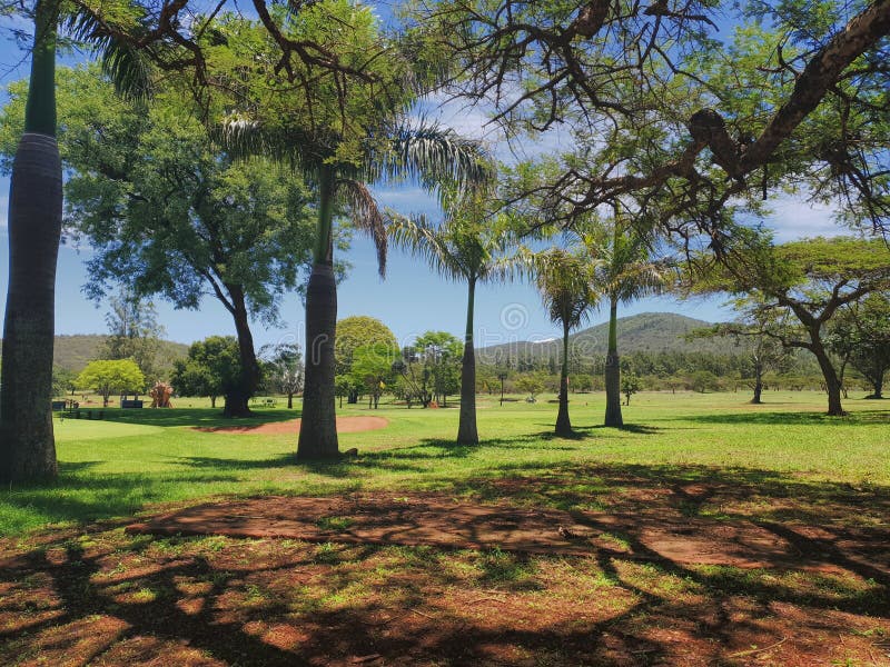 Shade Under Trees on a Sunny Day Stock Image - Image of trees, shade ...