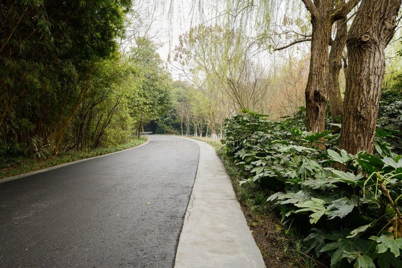Shaded Asphalt Road in Spring Stock Image - Image of china, chengdu ...
