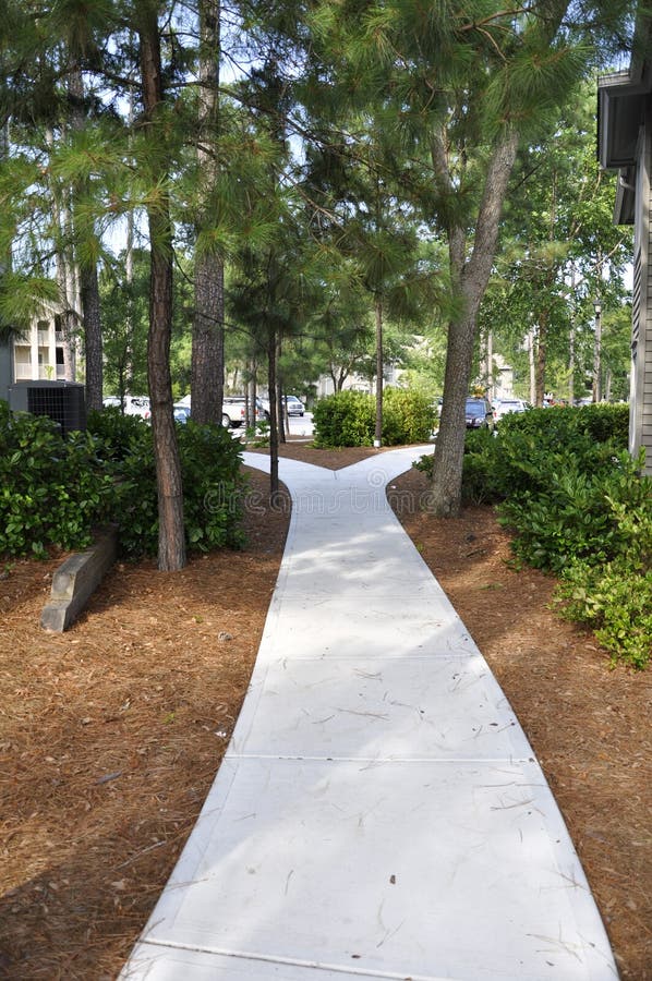 Shady walkway stock image. Image of shade, pavement, pathway - 6200163