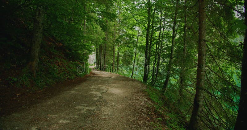 Shaded Forest Path Winds Along the Edge of a Turquoise Lake, Surrounded ...