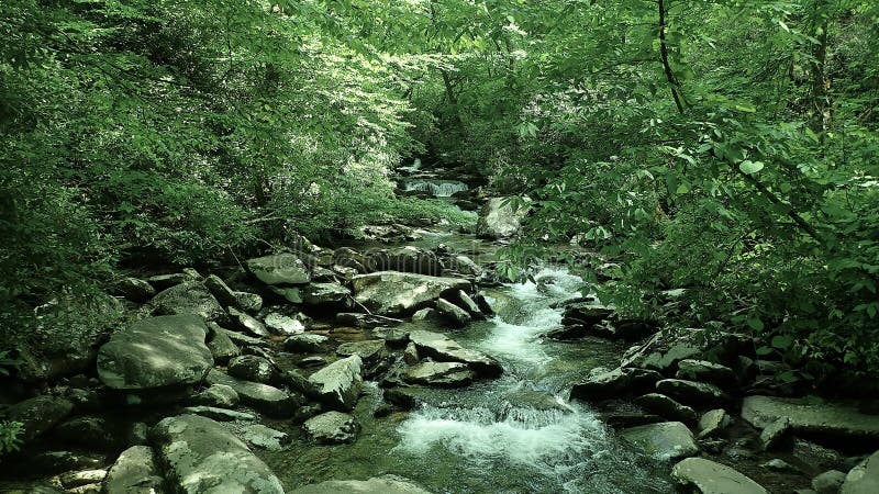 Shaded Forest Stream Over Mossy Rocks Stock Photos - Free & Royalty ...