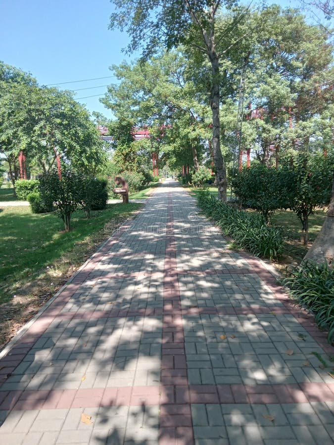 Shaded Pathway in a Peaceful Park Stock Photo - Image of backyard ...