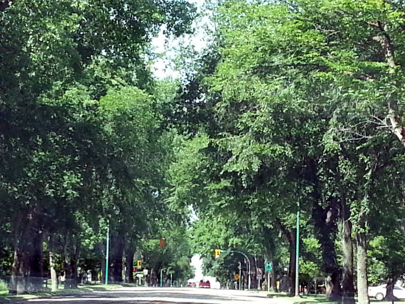 Shaded road stock image. Image of highway, shaded, driving - 94357555