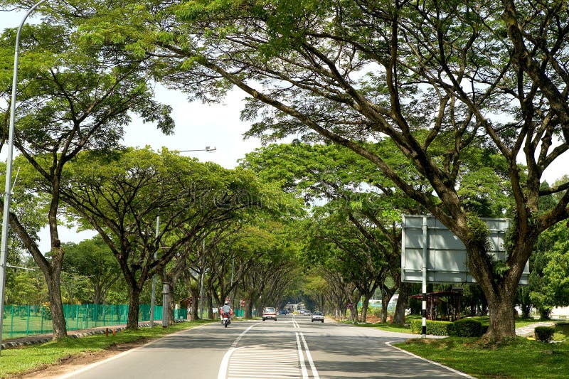 Shaded roads stock image. Image of skies, lanes, trees - 11746873