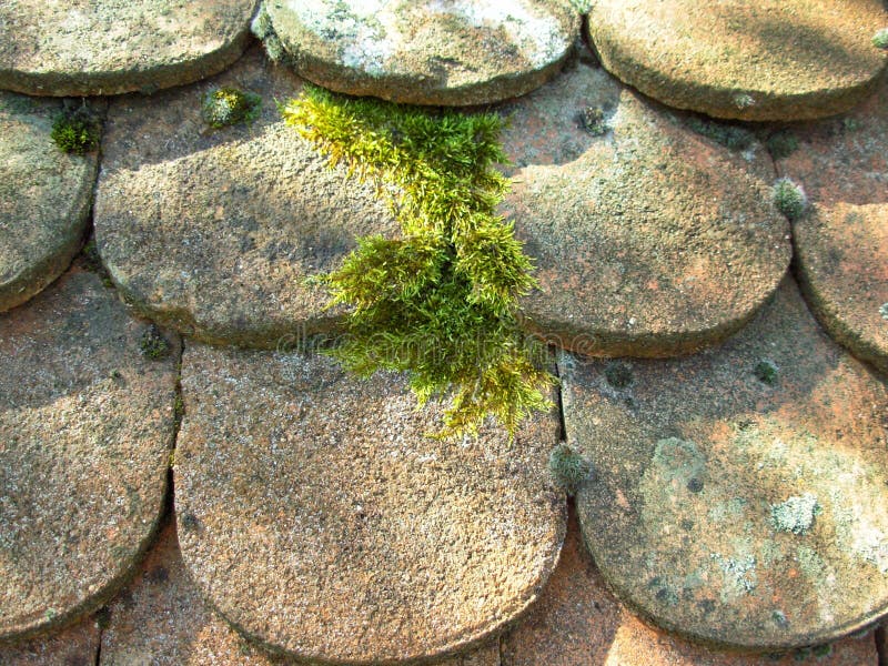 Old potsherd roof texture stock photo. Image of roof - 11233472