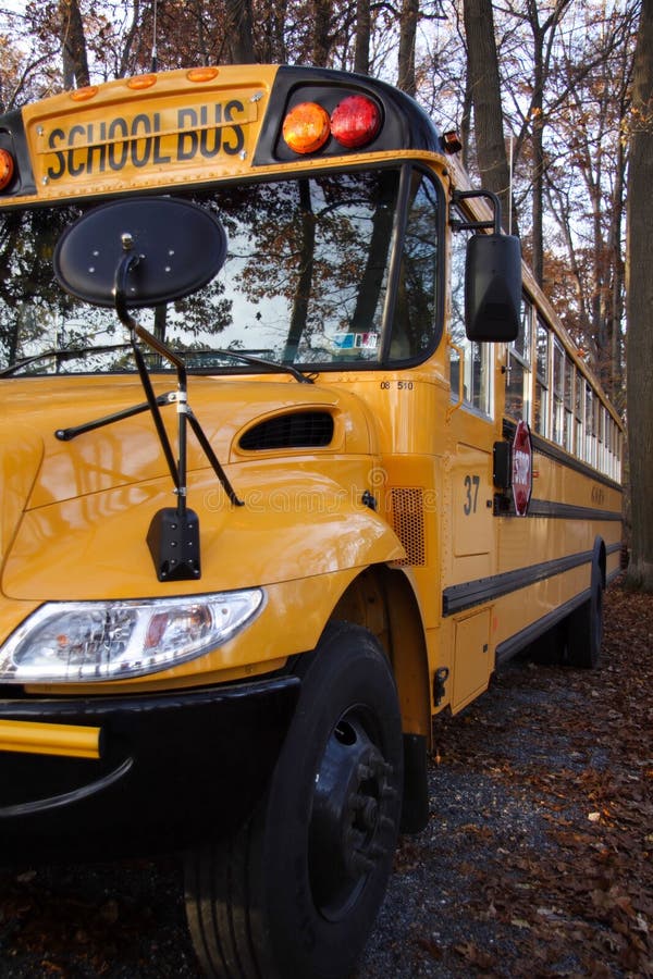 515 Front View School Bus Stock Photos - Free & Royalty-Free Stock ...
