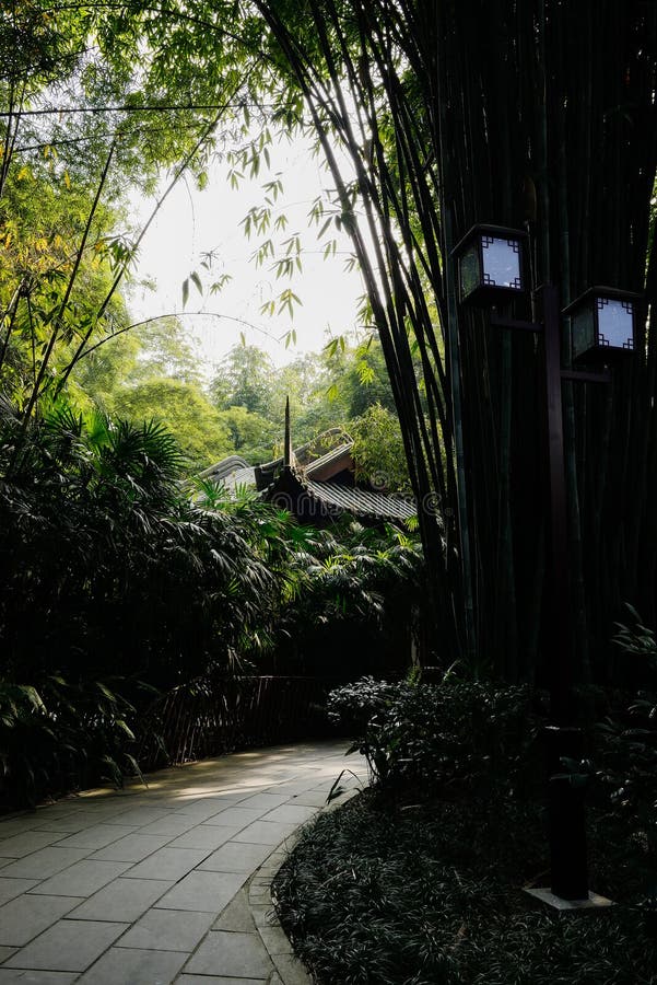 Shaded Stone Path before Tile-roofed Building in Bamboo Stock Image ...