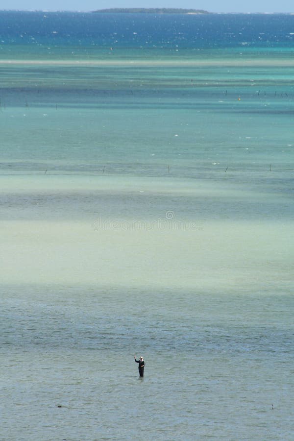 Awase Stock Photos - Free & Royalty-Free Stock Photos from Dreamstime