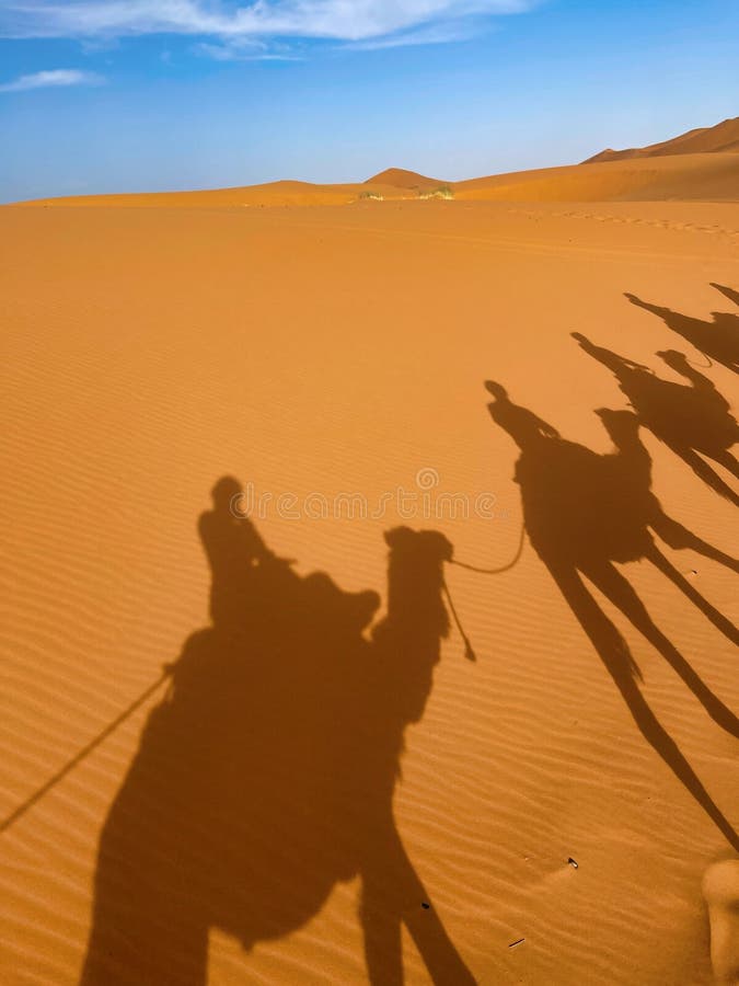 Shades of Camel Ride on Sand in Erg Chebbi Desert Stock Photo - Image ...