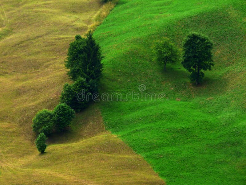 Shades of Green stock photo. Image of meadow, striped - 77436988