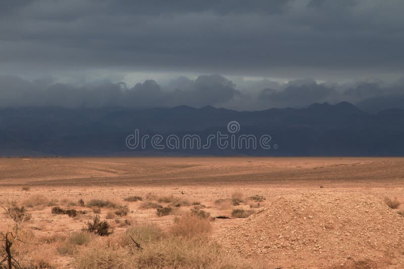 50 shades of grey stock image. Image of kenya, landscape - 53501841