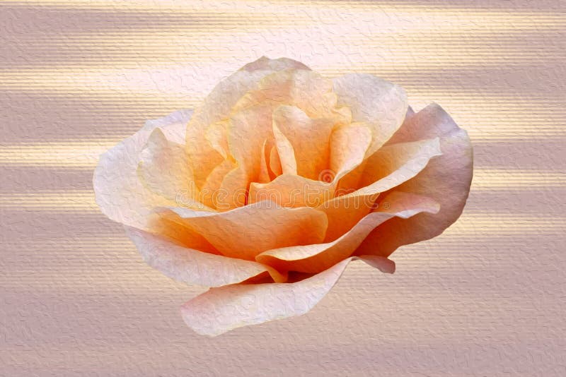 Shades of pink on waves stock image. Image of wave, paint - 186872739