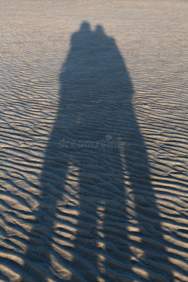 Shades in sand stock photo. Image of wave, softy, dune - 49824576