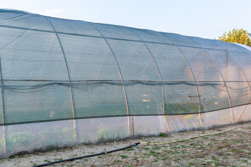 Shading Green Net on the Greenhouse, Artificial Protection from the Sun ...