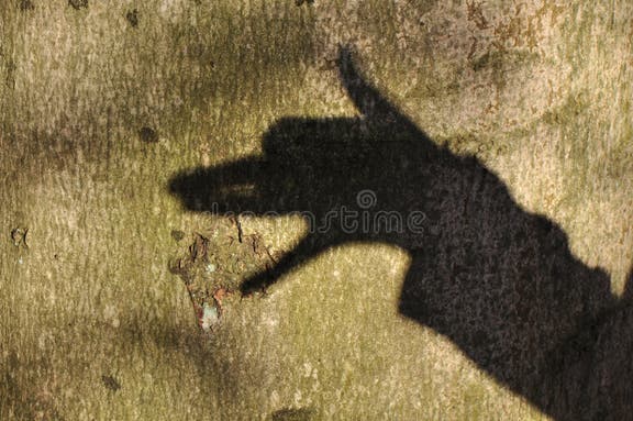 164 Hand Shadow Rabbit Stock Photos - Free & Royalty-Free Stock Photos ...